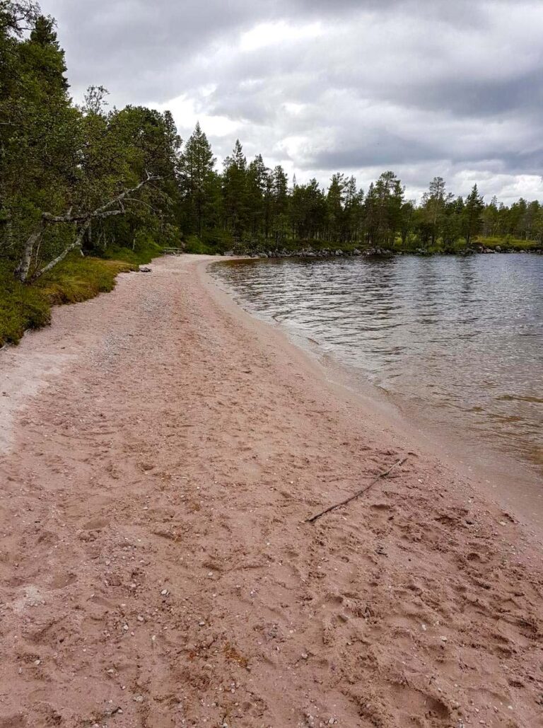 Hytter til leie i Rendalen - Ved Fiskevollen og Sølenfjellet